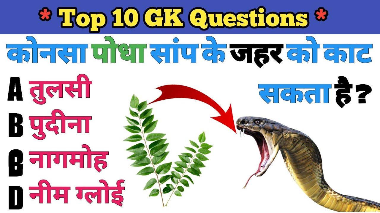 GK Question || Current affairs || GK Question and Answer || GK Quiz ...
