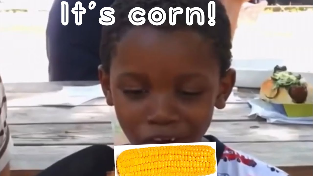 It’s corn 🌽 (song remix) - it’s corn a big lump with knobs, it has the ...