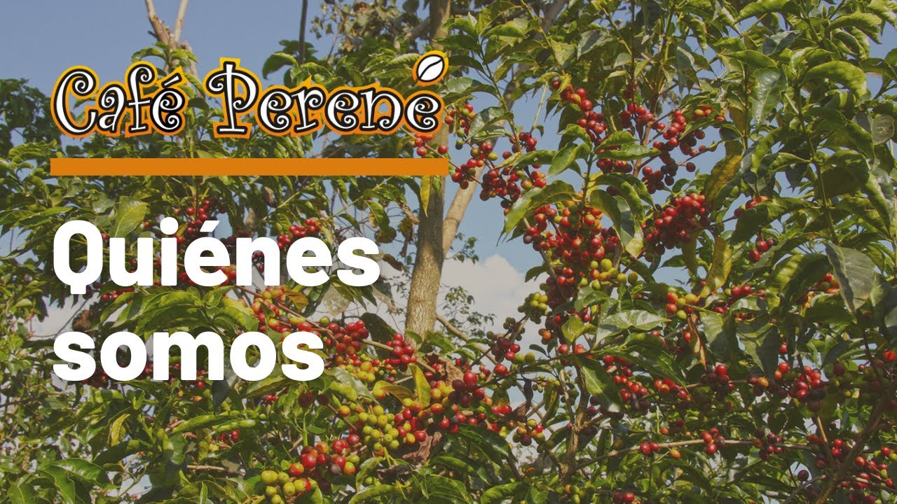 Café Perené - Quiénes somos - YouTube