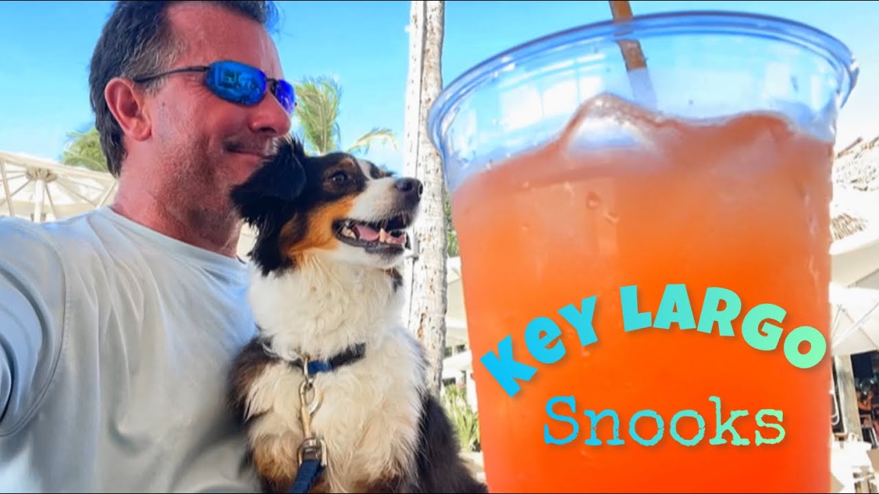 Florida Mini Loop Ep.22 - Sunset Cove Key Largo - YouTube