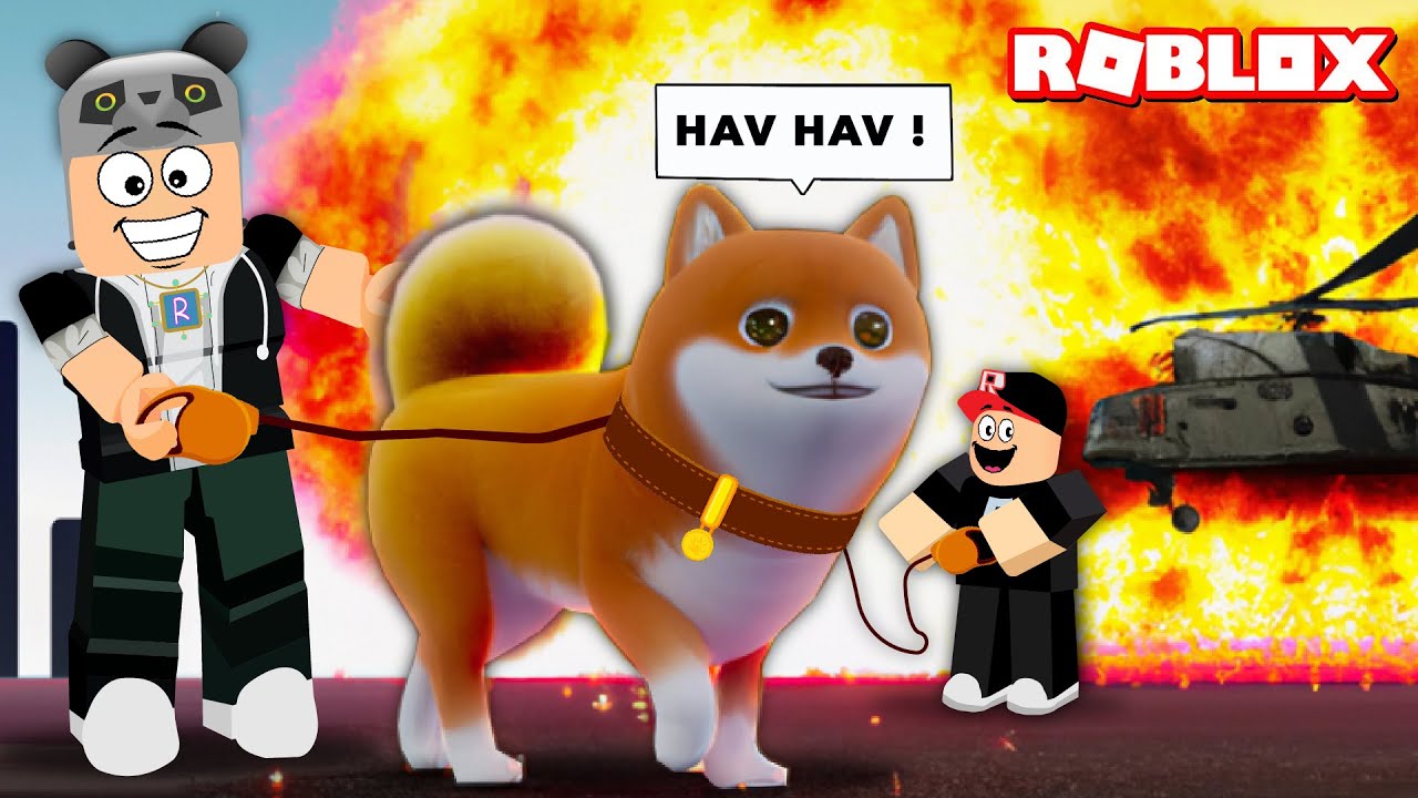 Asker Köpeği Hikayesi !! - Panda ile Roblox Doge Story - YouTube