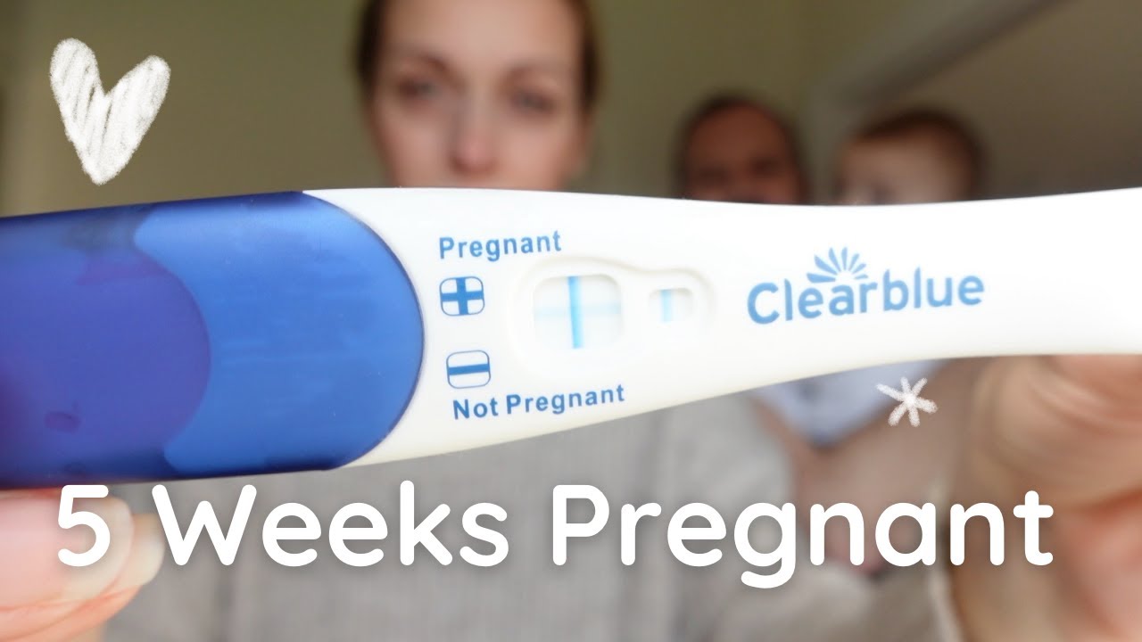 5 WEEKS PREGNANT Update On Early Pregnancy| SURPRISE PREGNANCY | How ...