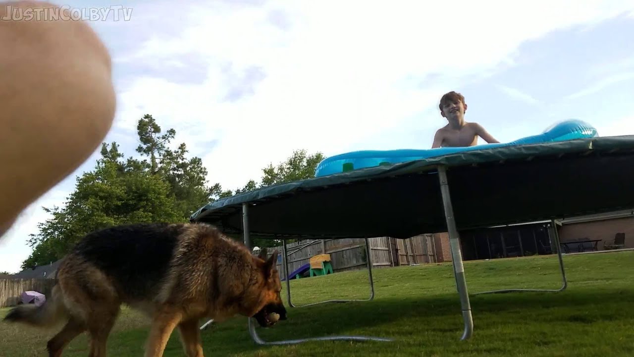 Guy Falls Off Trampoline Into Dog Poop! - YouTube