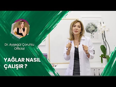 Yağlar nasıl çalışır? - Ayşegül Çoruhlu