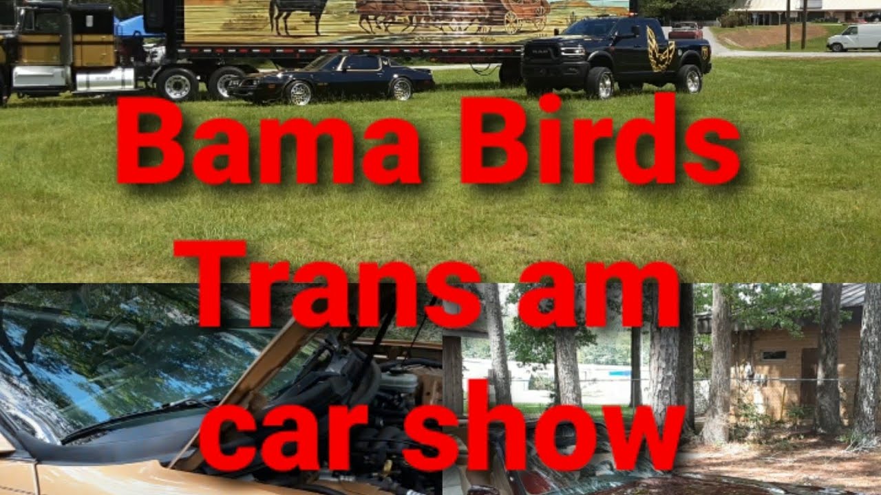 Bama Birds|Trans Am car Show| Goose Pond Park|Smokey and the Bandit ...