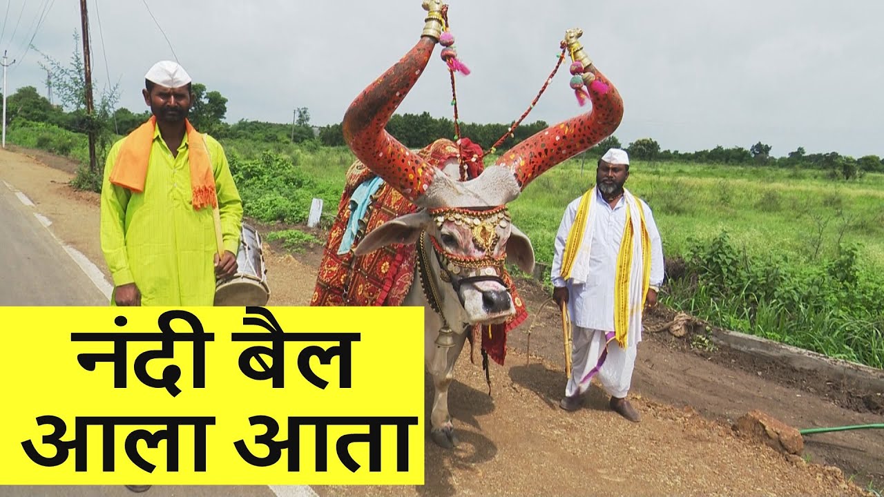 नंदी बैल आला आता | Nandi Bail - YouTube