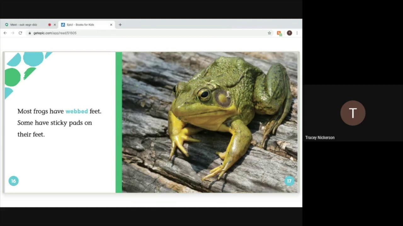 Frogs Main Idea and Key Details - YouTube