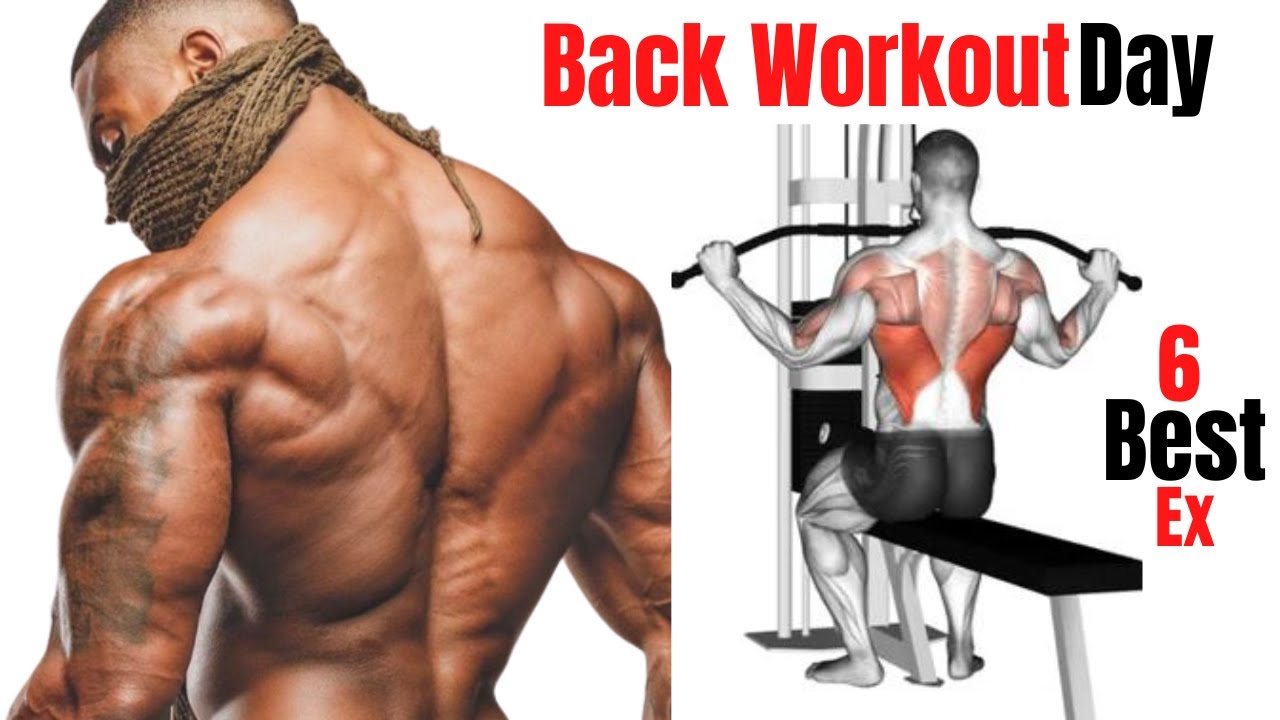 Top 6 Best Exercise For Bigger Back- Back Workout for Beginners - Body ...