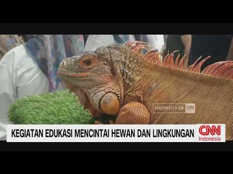 Main Bersama Hewan di Jakarta International Pet Show 2026