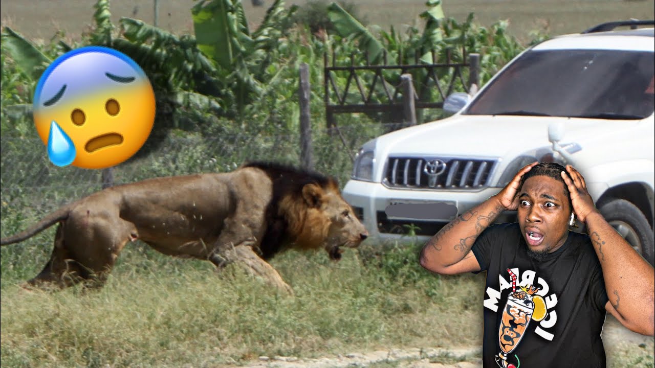 Visiting The Worlds Scariest Zoo In NY - YouTube