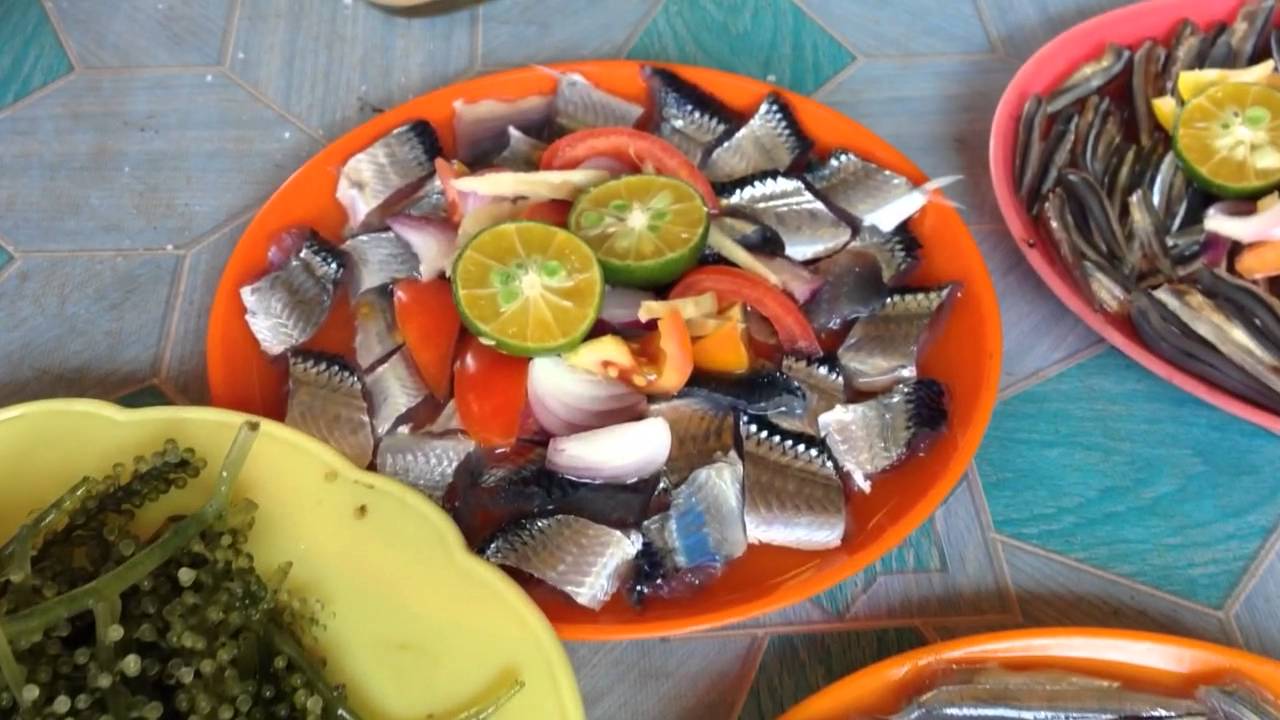 Bohol exotic affordable Exotic sea foods - YouTube