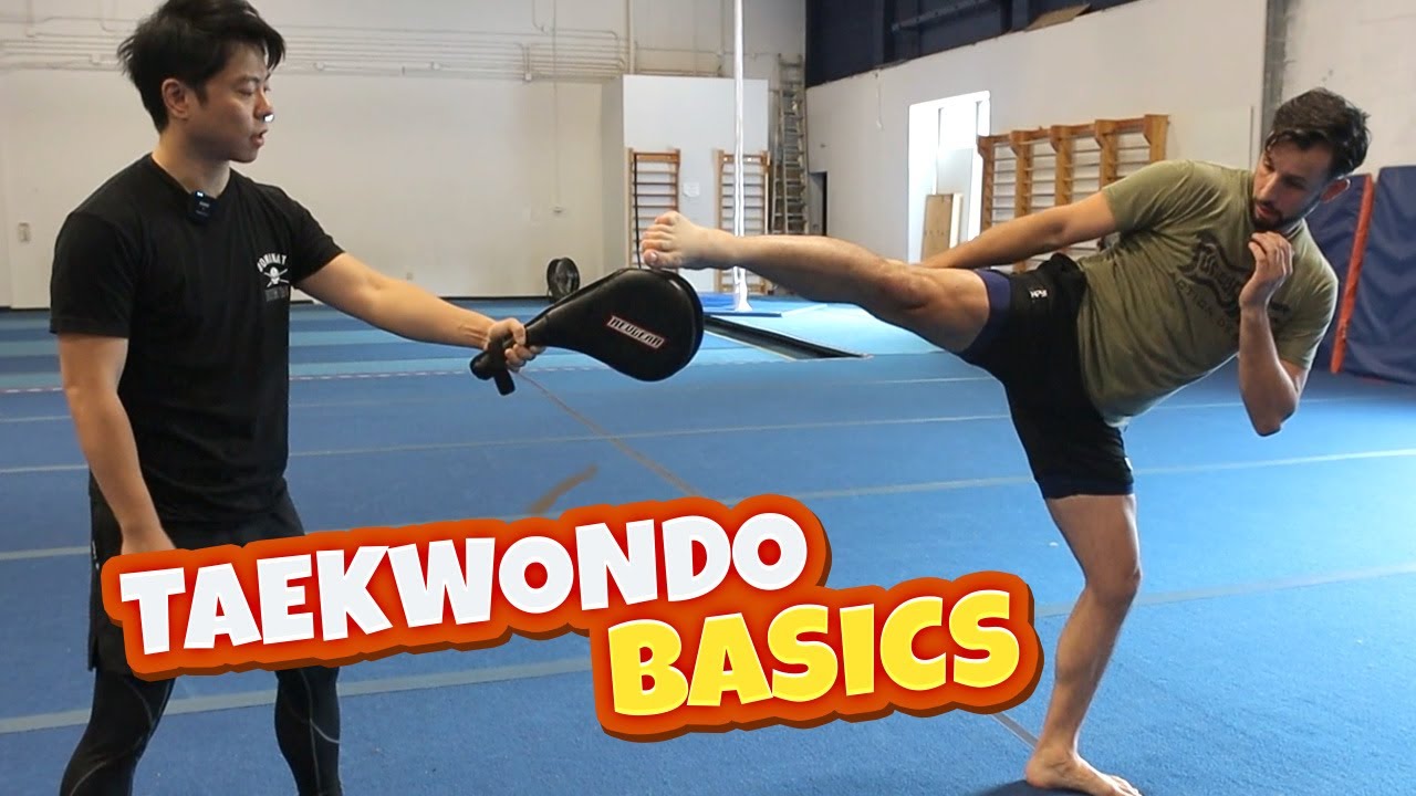 Taekwondo Basics & Fundamental Uncut Footage - YouTube