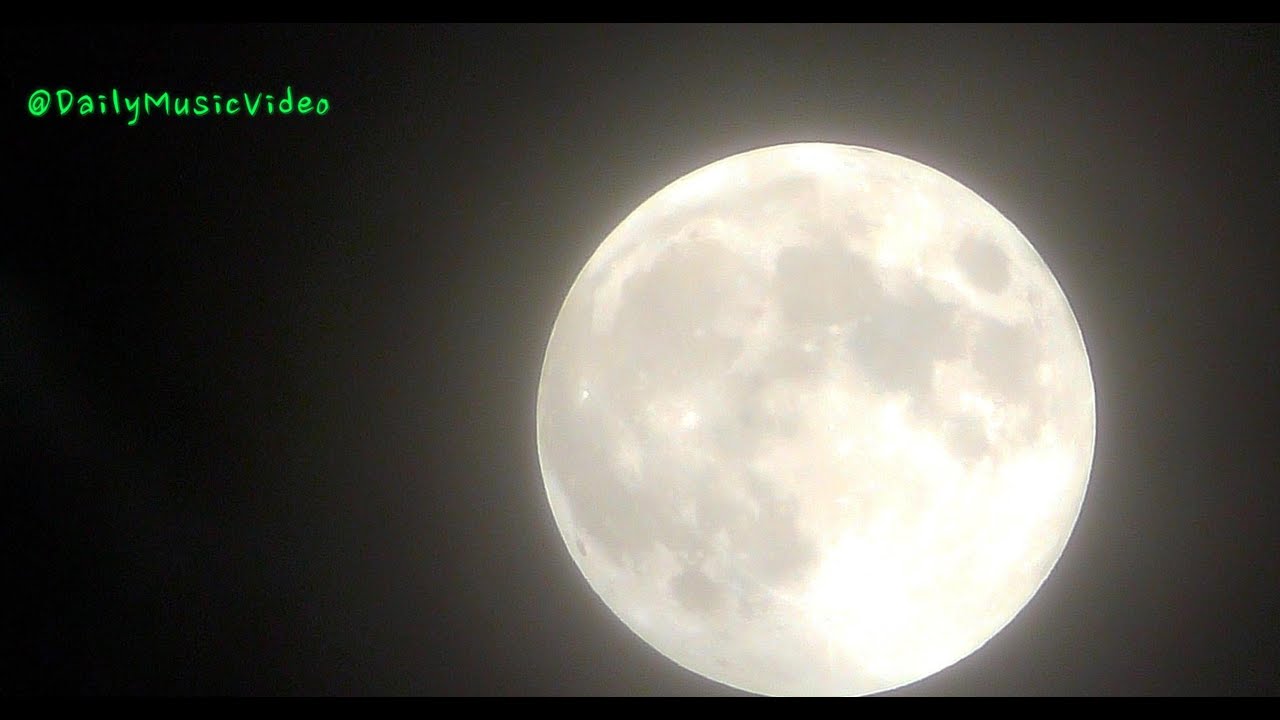 Daily Music video. 000. Peace and Love To Earth. OfficialMVs - YouTube