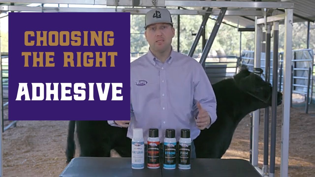 Tips for Choosing a Livestock Adhesive - YouTube