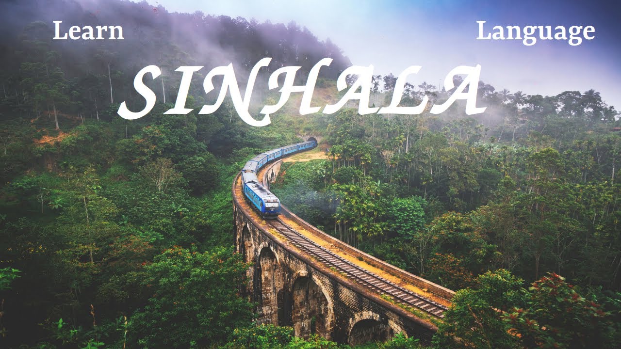 Learn Sinhala Language - YouTube