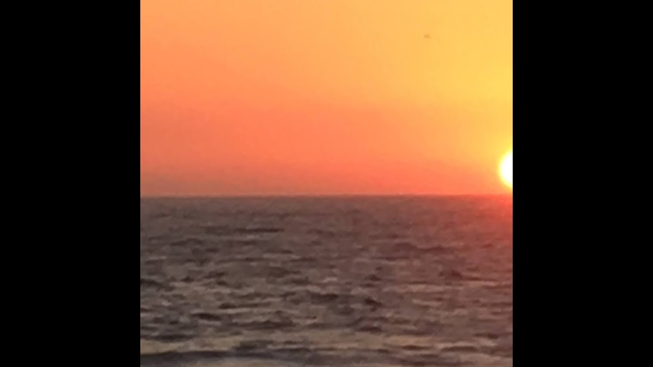 Cole Needham Live Stream - YouTube