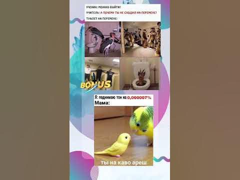 Мемы #мемы #мемасики - YouTube