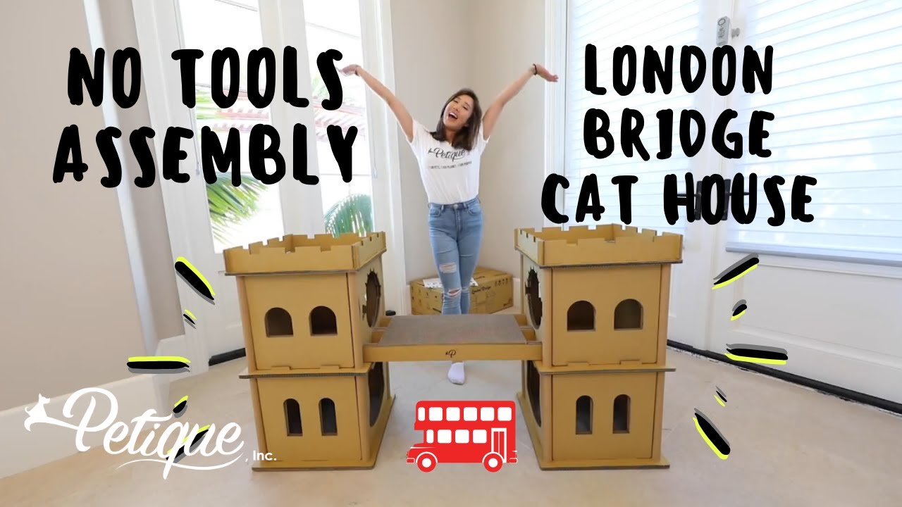 HOW TO Easily Assemble Petique's London Bridge Cat House WITHOUT Tools ...