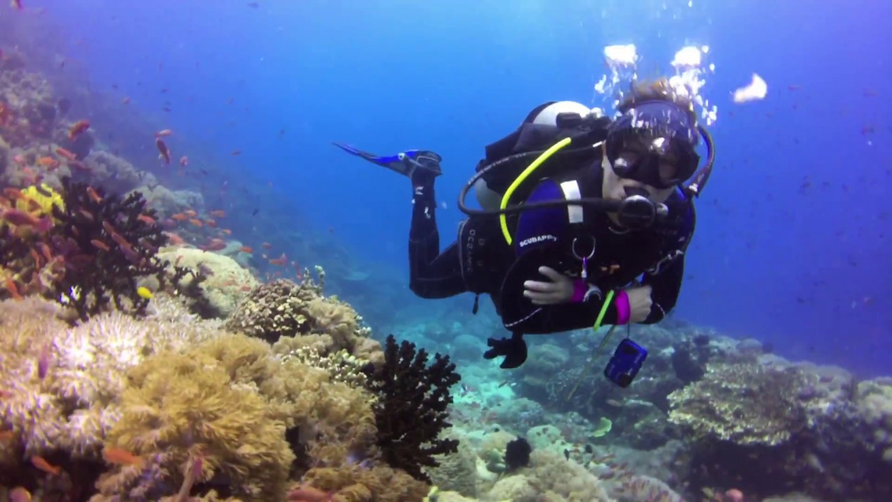 Diving Verde Island Philippines - YouTube