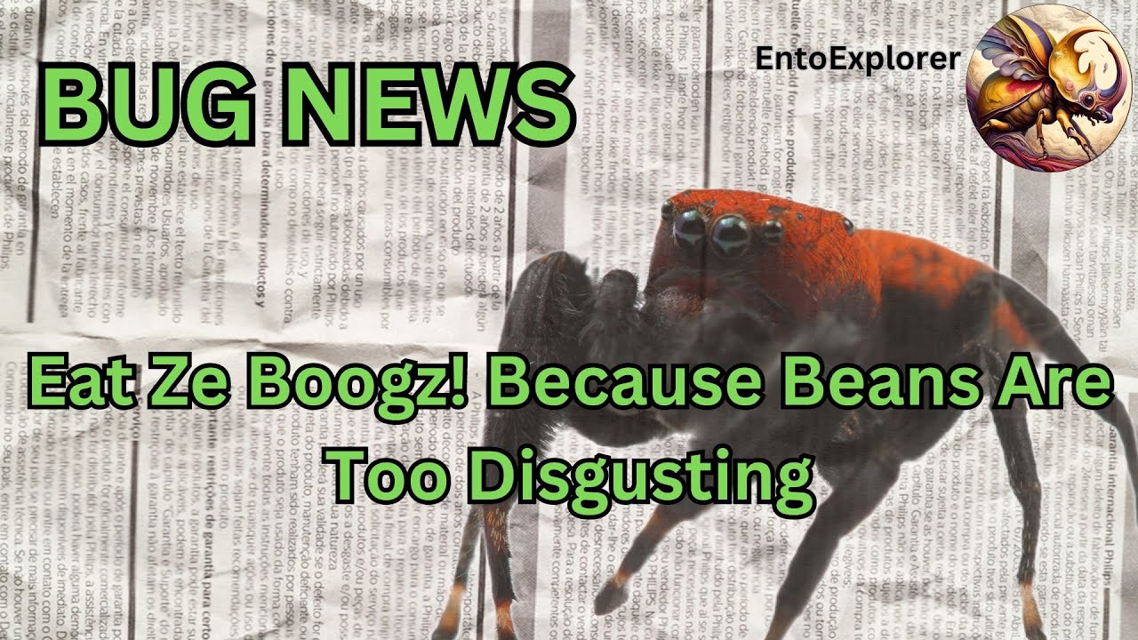 Bug News - UK's Guardian Celebrates More Insects to Eat, But It's A Bad ...