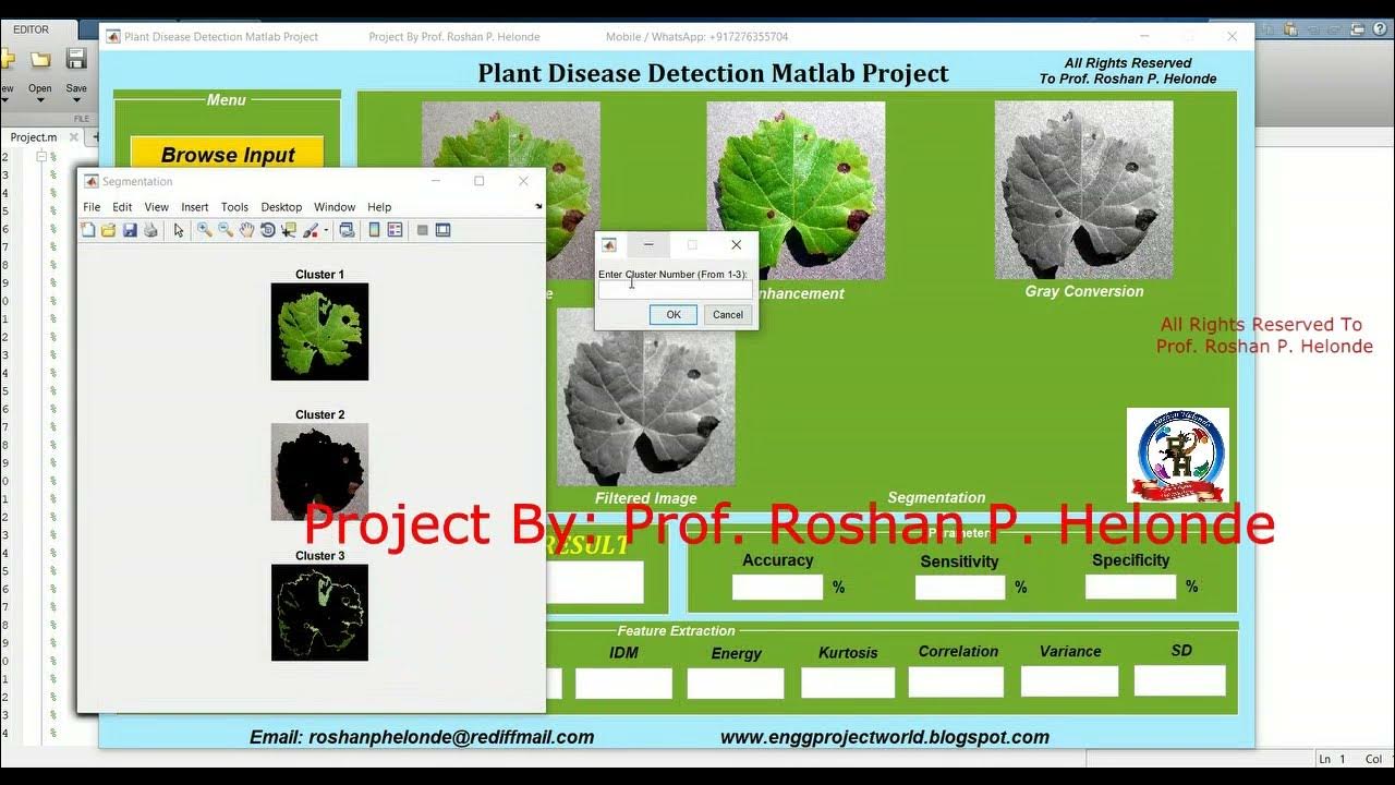 Plant Disease Detection Image Processing Using Matlab | Plant Disease ...