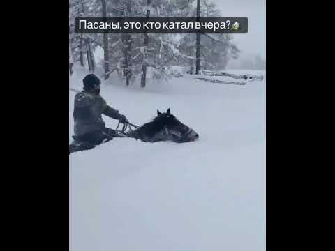Паудер - YouTube