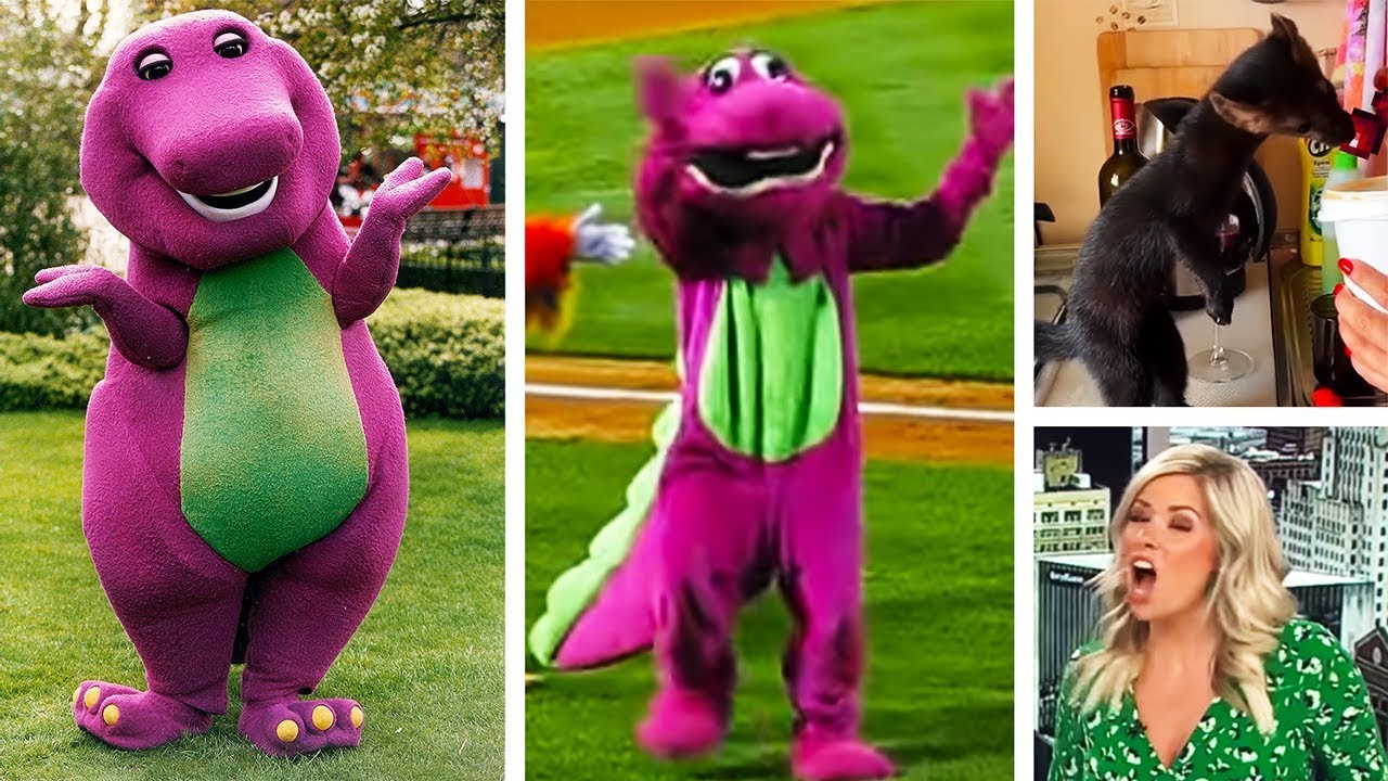 I THINK BARNEY IS ARTISTIC | News Reporter Cringe | Meme Review Monday ...