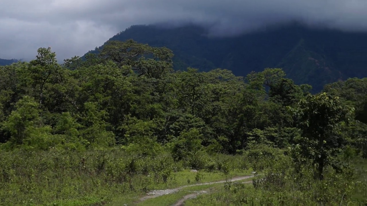 Dooars.Majestic Bhutanghat and Raidak river. - YouTube