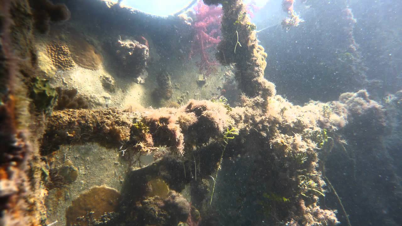 2012 Wrack Balena Dive Point Hurghada Tauchgang - YouTube