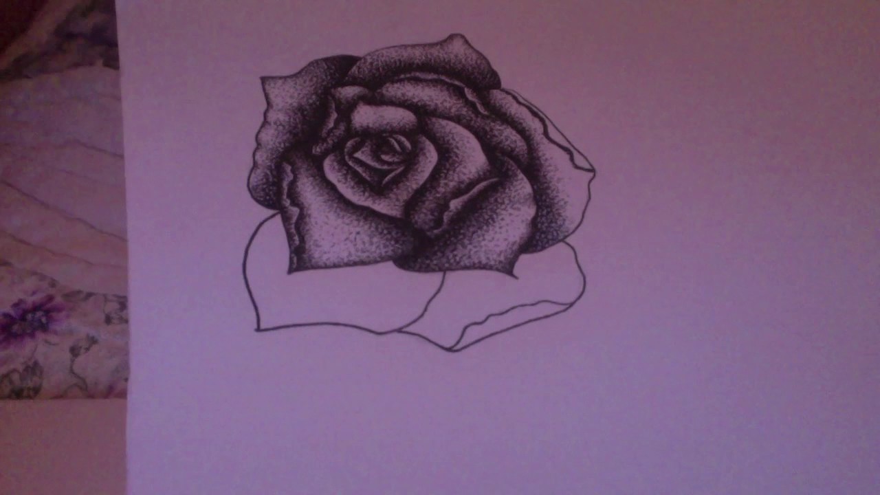 Rose Time Lapse- Stippling - YouTube