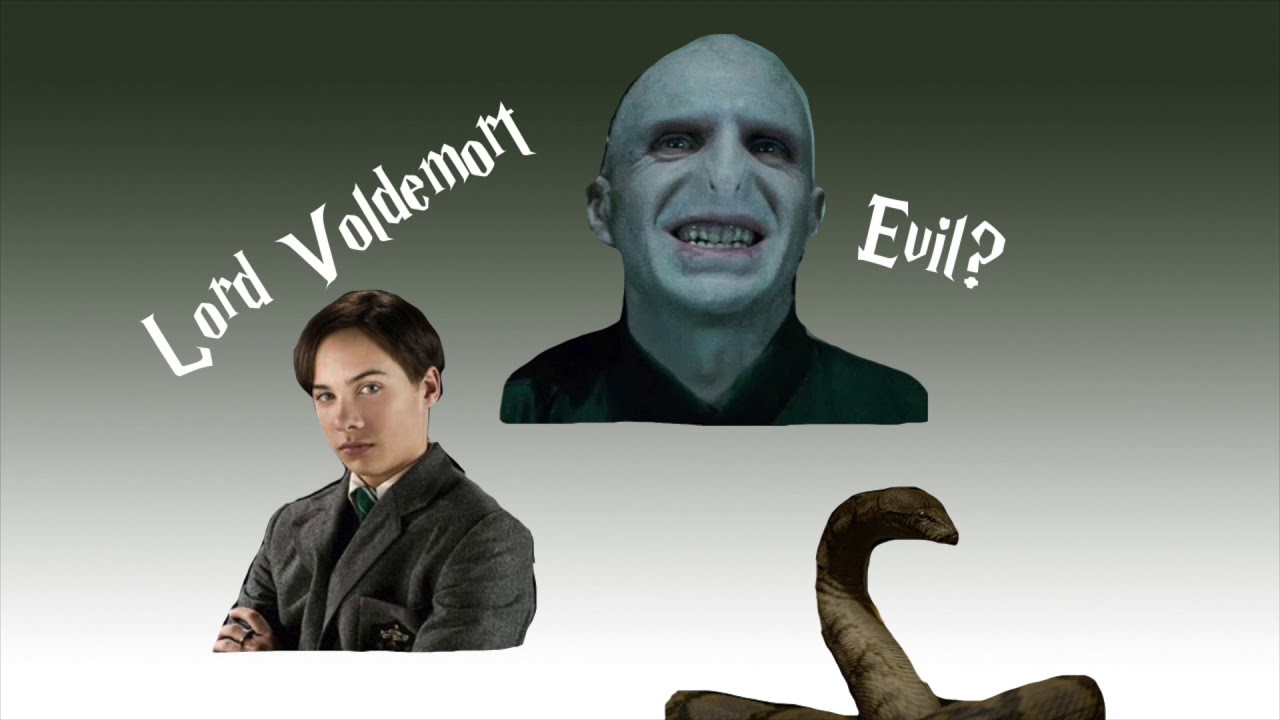 Why Voldemort Is So Evil - YouTube