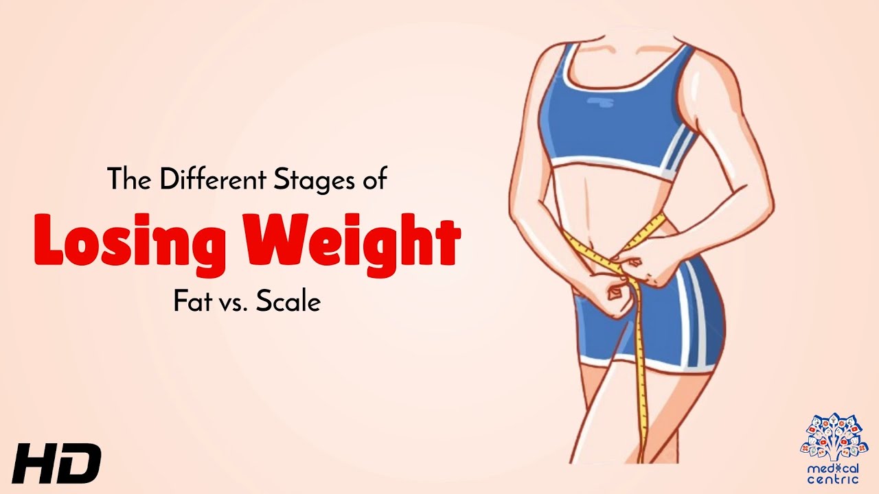 The Different Stages of Losing Weight: Fat Loss vs. Scale Weight - YouTube