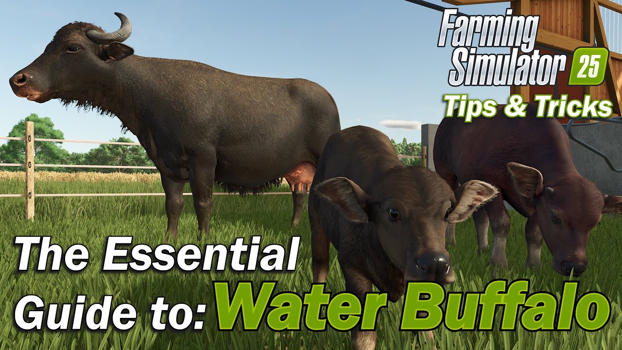 The Essential Guide to Water Buffalo in Farming Simulator 25 - YouTube