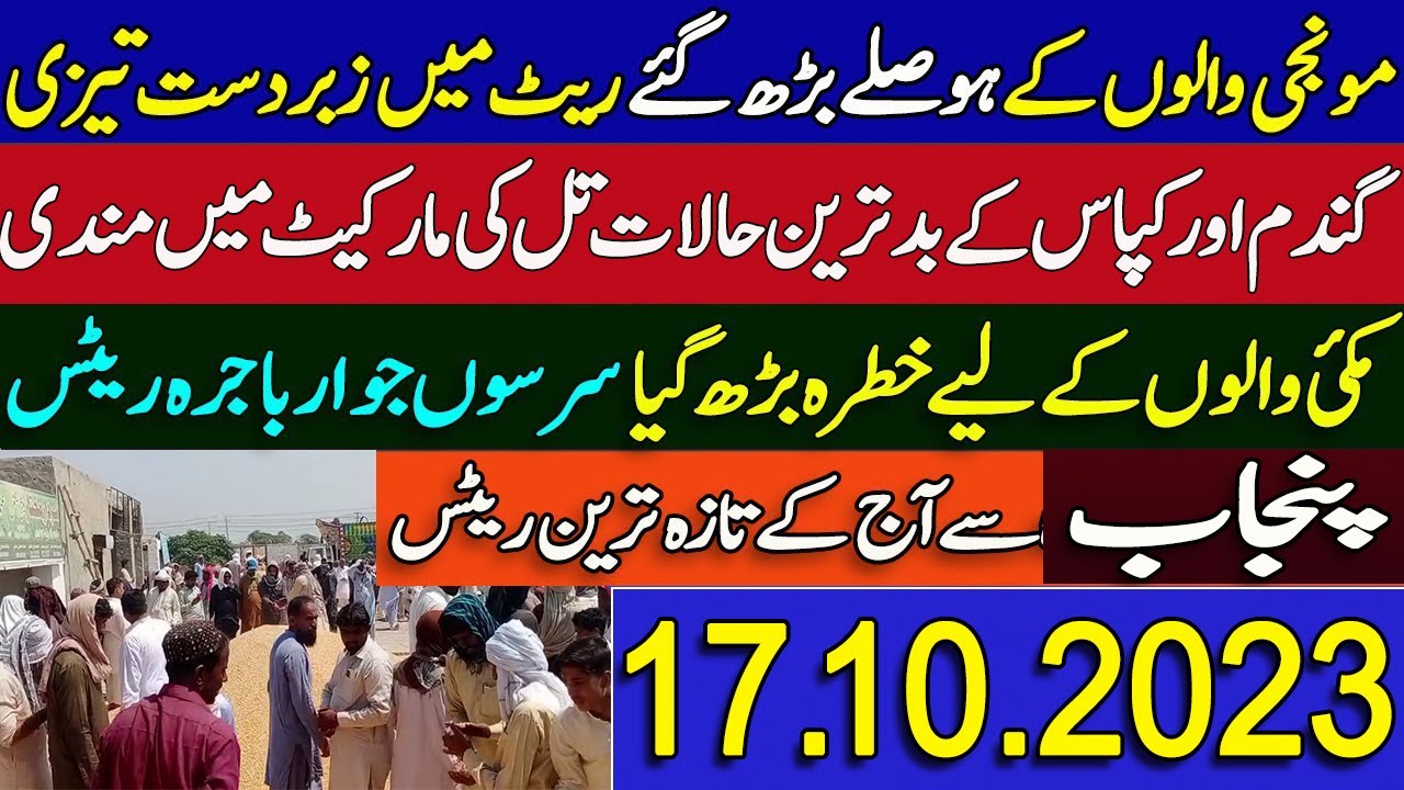 new-munji-rate-today-makki-gandum-sarson-moong-till-cotton-rates