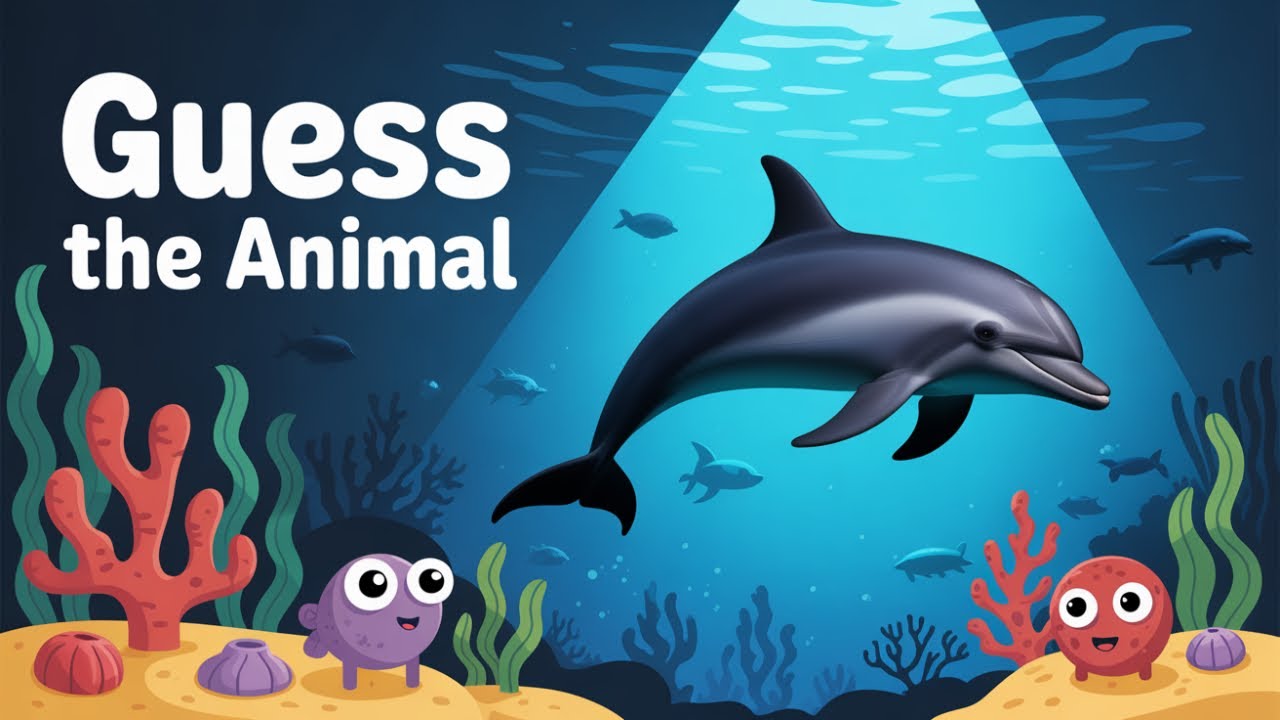 Can You Guess the Ocean Animal by Its Shadow? - YouTube