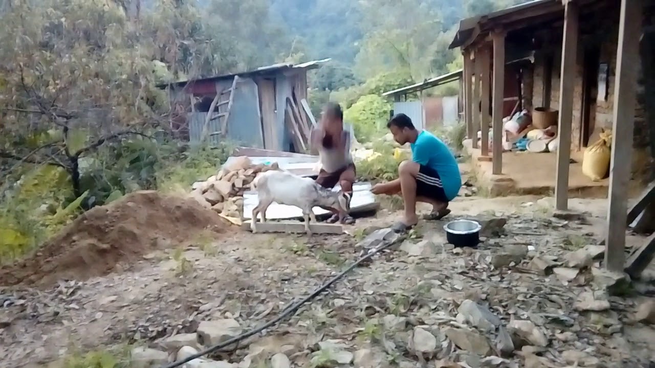 Khasi Kateko @Nuwakot - YouTube