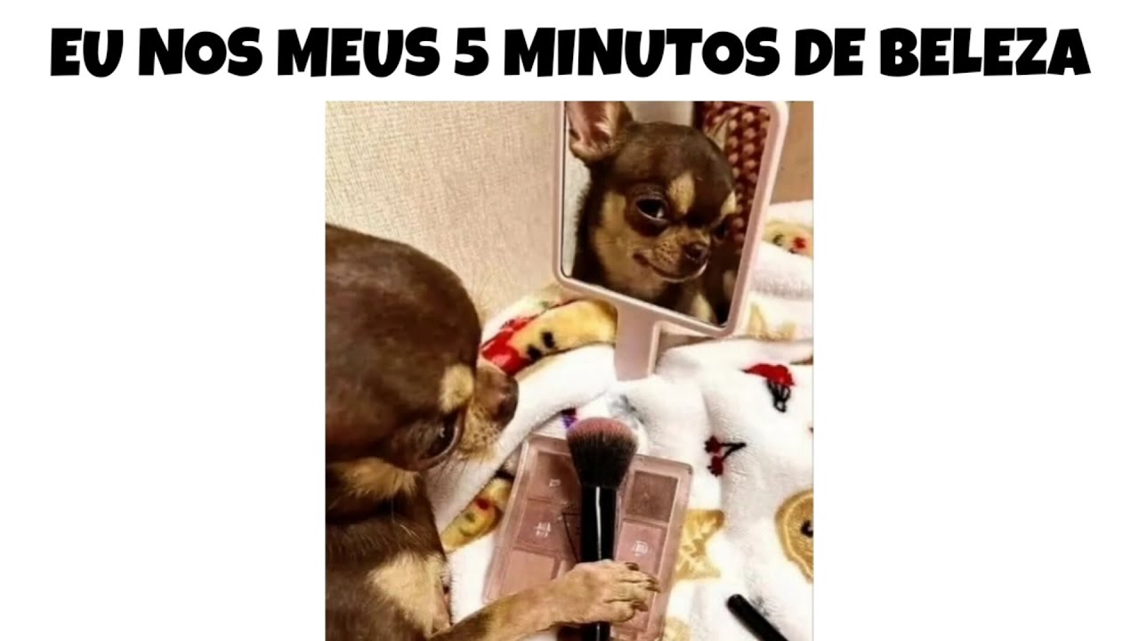 Narrando MEMES em IMAGENS - Eu nos Meus 5 Minutos de Beleza | MELHORES ...
