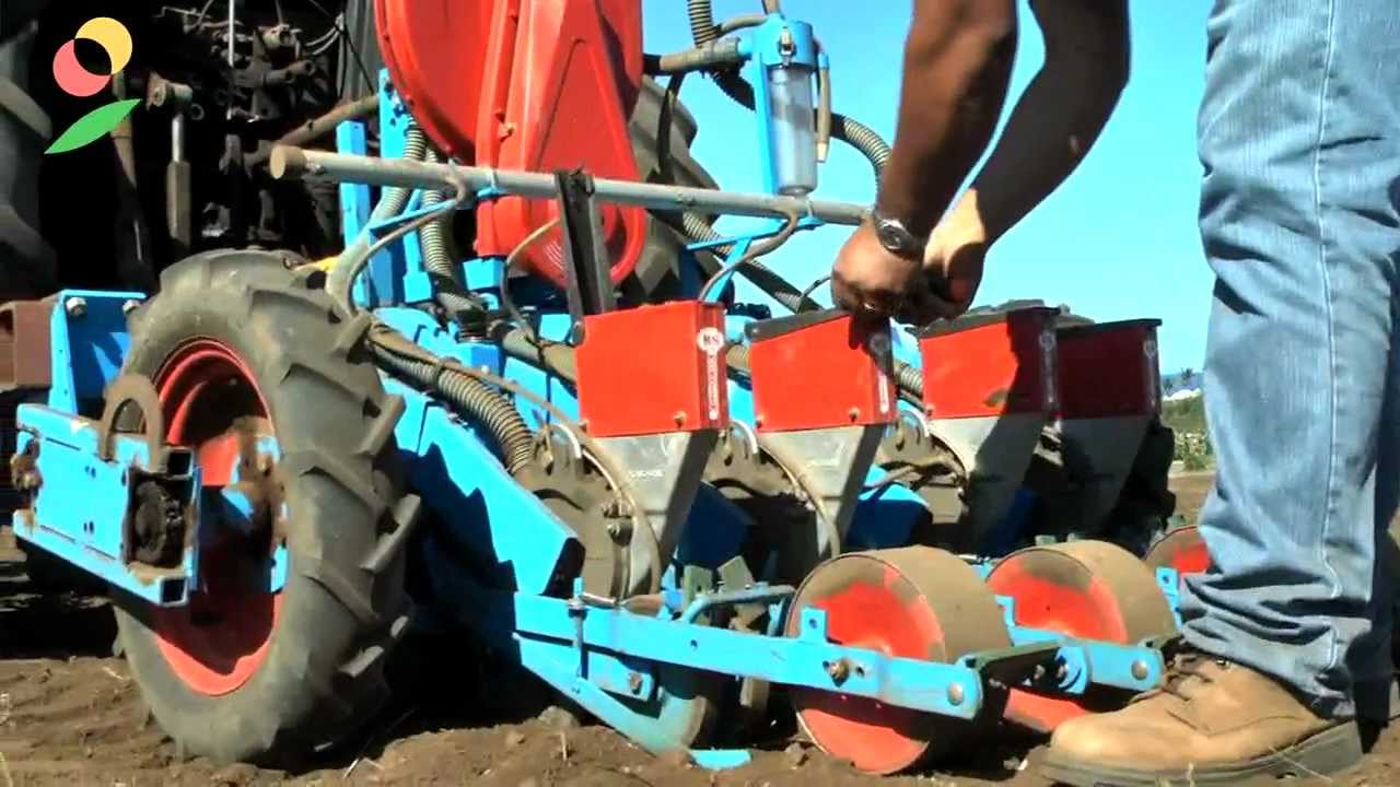 Le semis mécanisé de l'oignon - présentation du semoir de type MS Monosem - YouTube