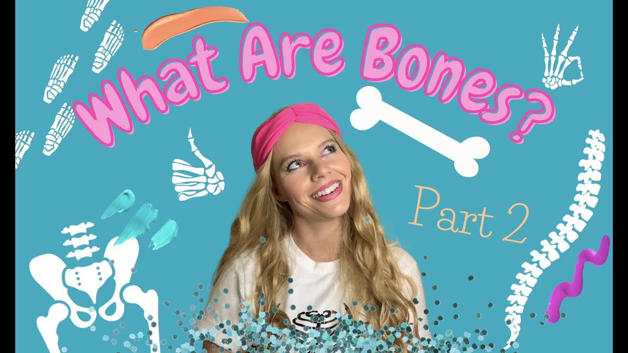 What Are Bones Part 2 Human Body Learning With Mary Ellen The Body What Are Bones Part 2 Human Body Learning With Mary Ellen The Body