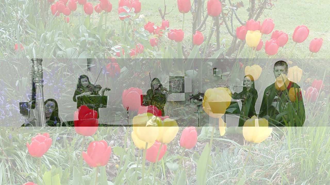 Vox Hiberniae - Súile an Choilm/Eyes of the Dove (Ronan McDonagh) - YouTube