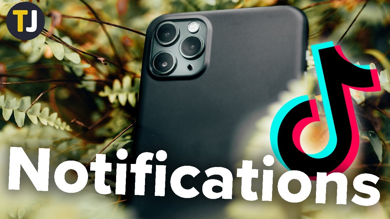 How to ENABLE Notifications for TikTok on iOS! - YouTube