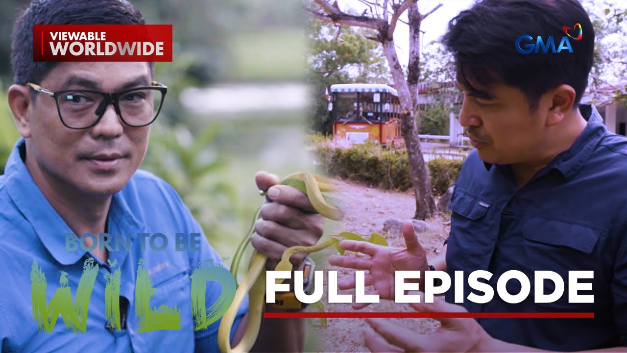 The Big Roles of Tiny Wildlife (Full Episode) | Born to Be Wild - YouTube