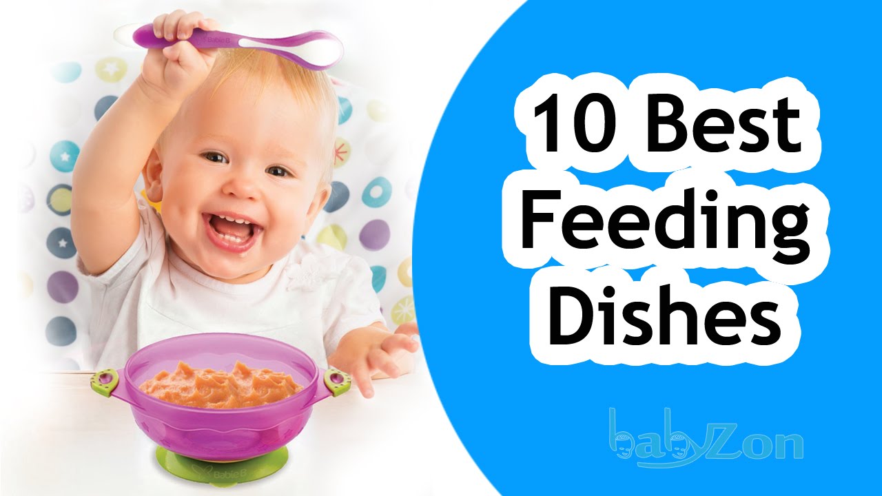 Best Feeding Dishes 2016 - Top 10 Feeding Dishes - Feeding Dishes ...