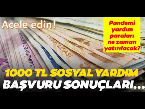 1000 TL Sosyal Yardım Başvuru Sonucu Başladı | Pandemi 1000 TL Sosyal Yardım Sorgulama Açıldı mı ?