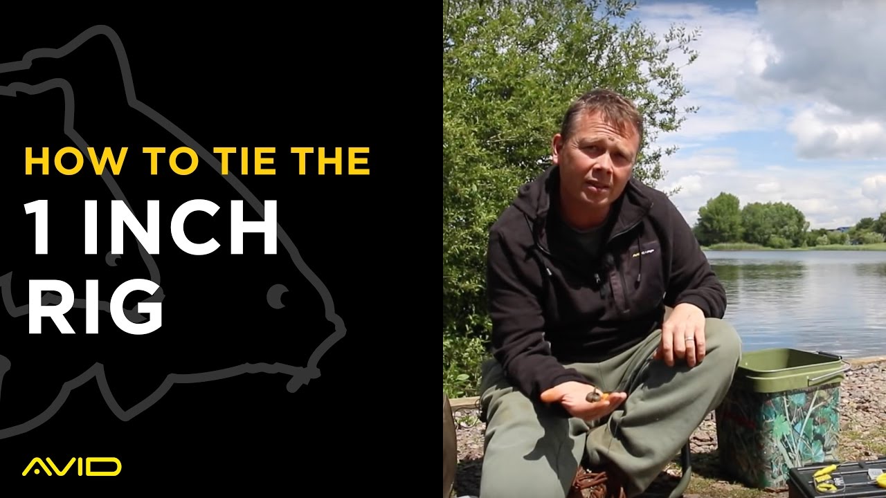 AVID CARP-Don't Move An Inch! The Rig That Carp Can't Deal With. - YouTube