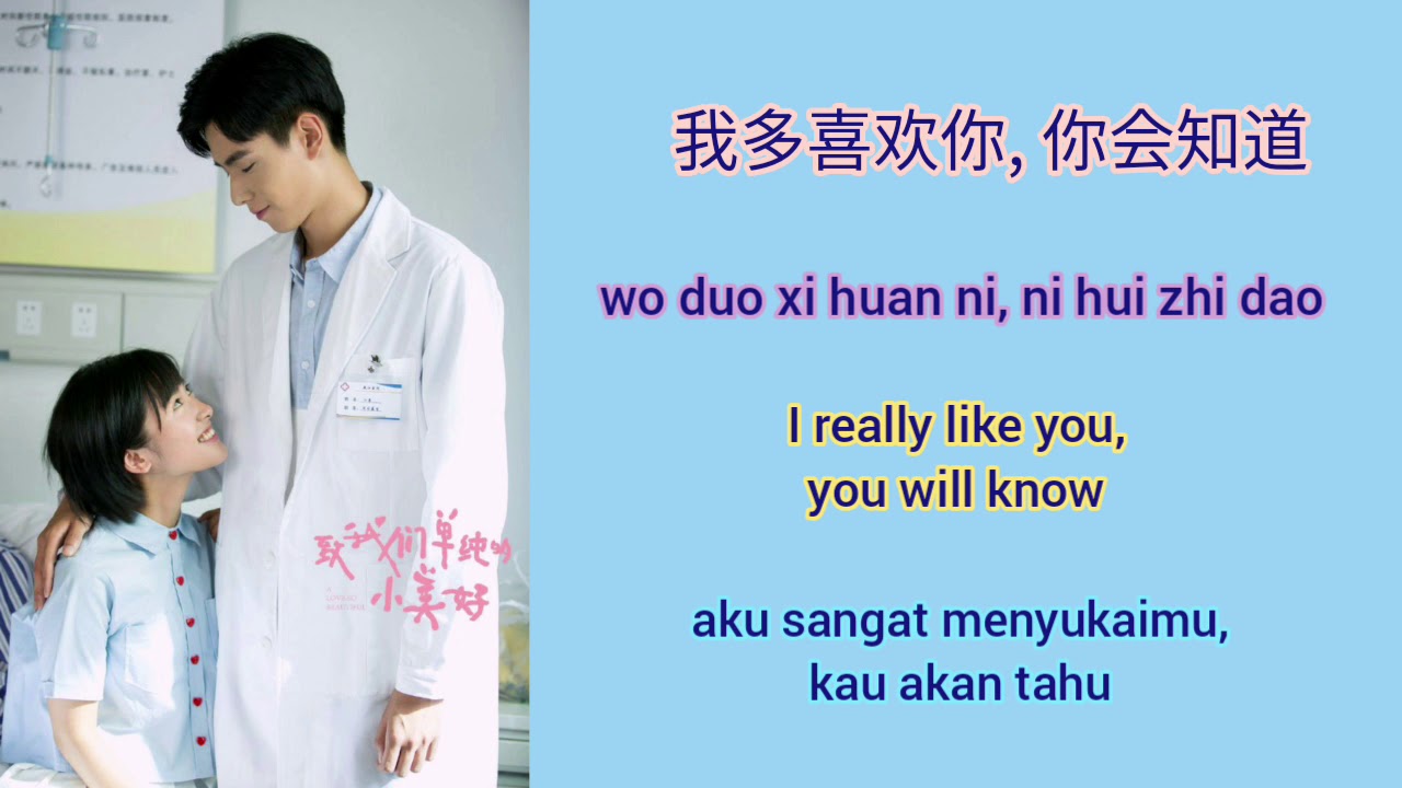 A Love So Beautiful到我们单纯的小美好OST(LYRIC/ENG/INDO)- Wo Duo Xi Huan Ni, Ni ...