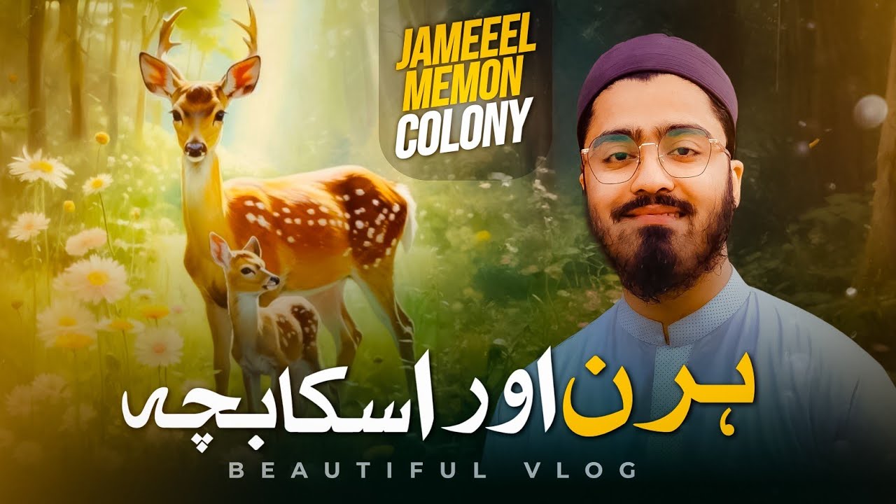 Hiran Aur Uska Bacha Dekha.🦌 | Shayan Raza - YouTube