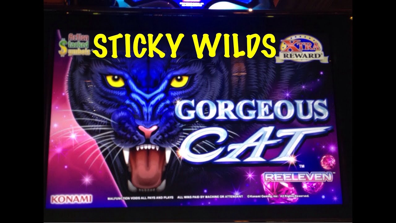 **WILDS** GORGEOUS CAT slot machine BONUS WIN! - YouTube