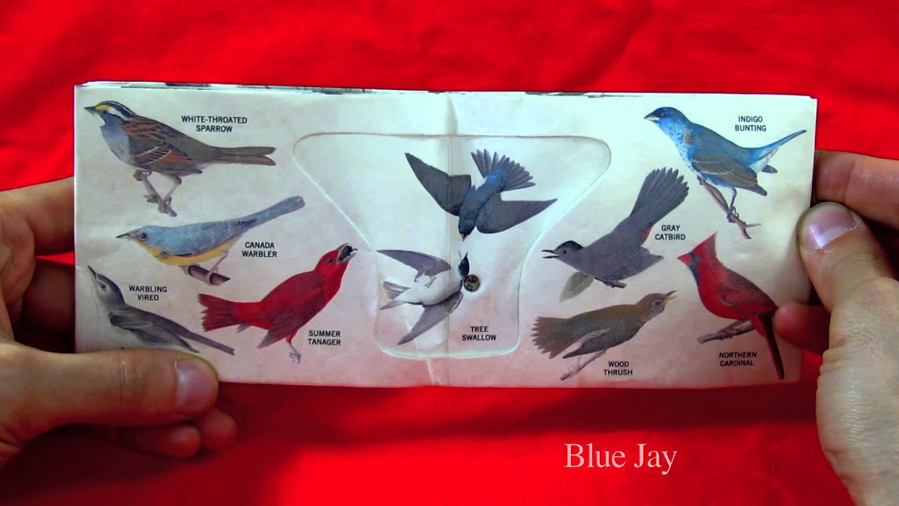 UPG's Audubon Bird Wallet - YouTube