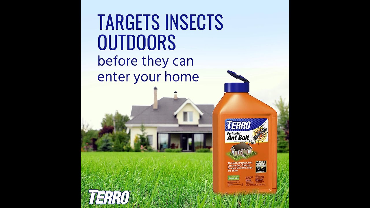 Protect Your Outdoor Space with TERRO T2600 Perimeter Ant Bait Plus ...